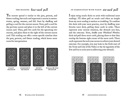 Woodland Wardens: A 52-Card Oracle Deck & Guidebook