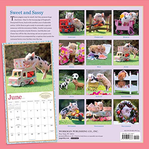 The Original Pocket Pigs Wall Calendar 2023: The Famous Teacup Pigs of Pennywell Farm