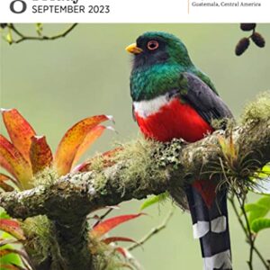 Audubon Birds Page-A-Day Gallery Calendar 2023: Hundreds of Birds, Expertly Captured by Top Nature Photographers