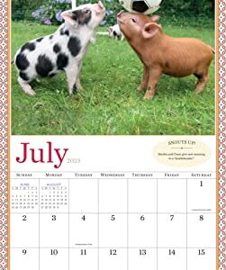 The Original Pocket Pigs Wall Calendar 2023: The Famous Teacup Pigs of Pennywell Farm