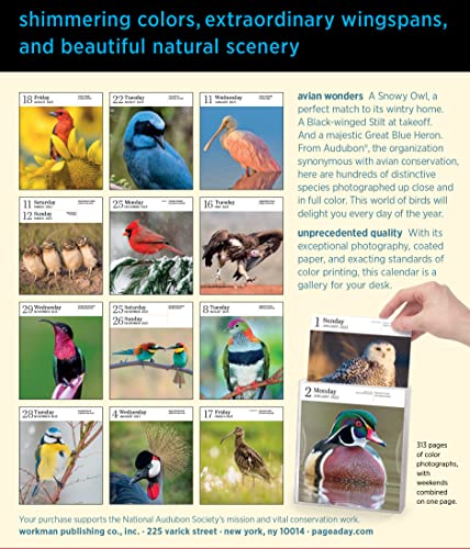 Audubon Birds Page-A-Day Gallery Calendar 2023: Hundreds of Birds, Expertly Captured by Top Nature Photographers