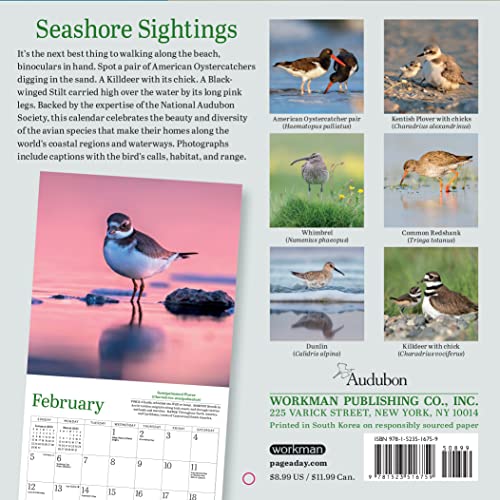 Audubon Little Shorebirds Mini Wall Calendar 2023: A Tribute to the Diversity of Shorebirds and the Fragile Ecosystems they Inhabit