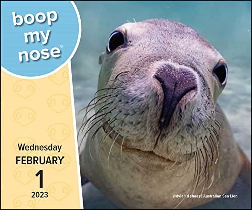 The Daily Boop 2023 Day-to-Day Calendar: By Boop My Nose