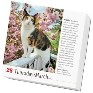 365 Cats Page-A-Day Calendar 2024: The World's Favorite Cat Calendar