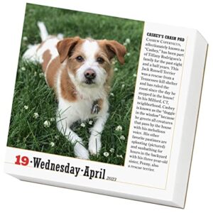 365 Dogs Page-A-Day Calendar 2023: The World's Favorite Dog Calendar