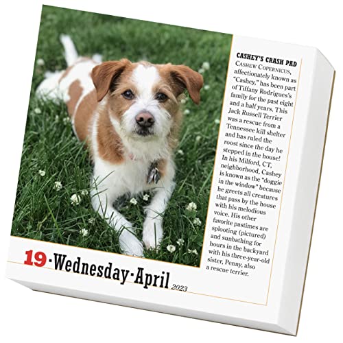 365 Dogs Page-A-Day Calendar 2023: The World's Favorite Dog Calendar