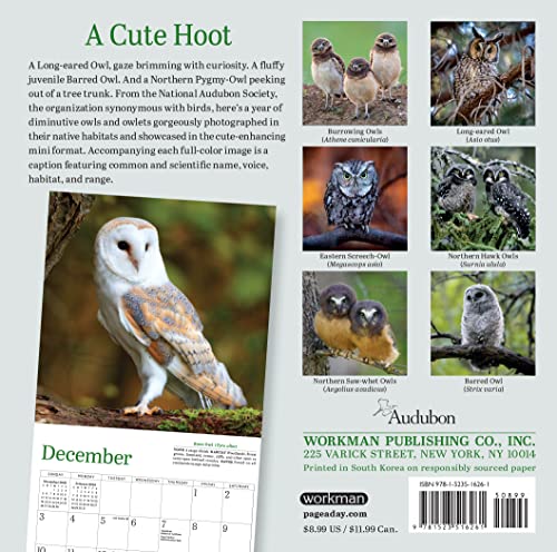 Audubon Little Owls Mini Wall Calendar 2023: A Year of Fluffy and Round Owls