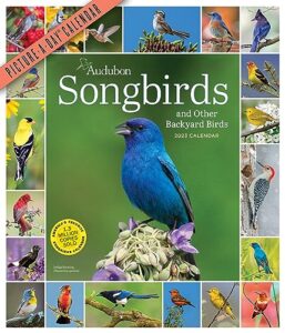 audubon songbirds and other backyard birds picture-a-day wall calendar 2023: a beautiful bird filled way to keep track of 2023