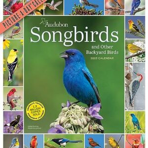 Audubon Songbirds and Other Backyard Birds Picture-A-Day Wall Calendar 2023: A Beautiful Bird Filled Way to Keep Track of 2023