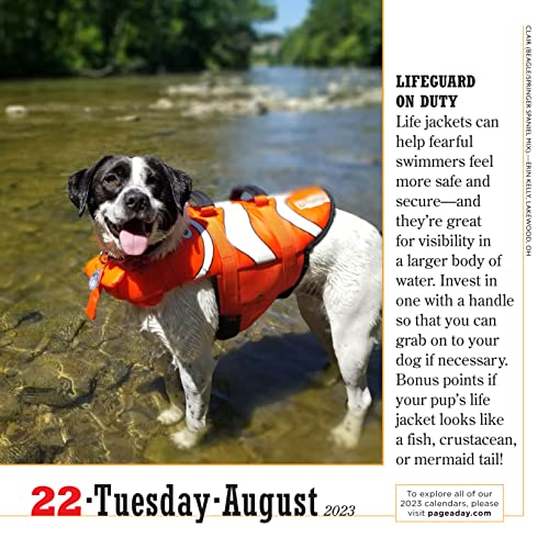 365 Dogs Page-A-Day Calendar 2023: The World's Favorite Dog Calendar