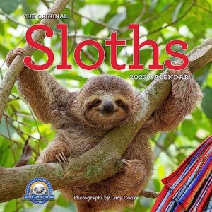 original sloths wall calendar 2023: the ultimate experts at slowing down