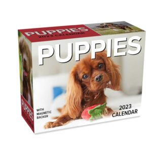 puppies 2023 mini day-to-day calendar