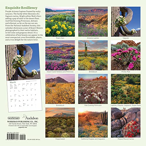 Audubon Desert Wildflowers Wall Calendar 2023: A Visual Delight for Nature Lovers and Gardeners Alike