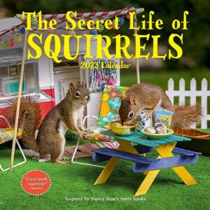 the secret life of squirrels wall calendar 2023: wild squirrels interacting with handcrafted domestic scenes