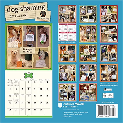 Dog Shaming 2023 Wall Calendar