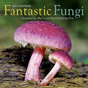 fantastic fungi wall calendar 2023: for mycologists, artists, foodies, ecologists, doctors, and explorers