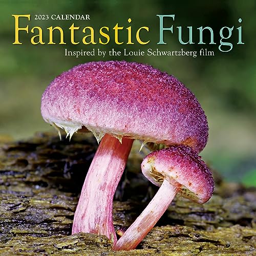 Fantastic Fungi Wall Calendar 2023: For Mycologists, Artists, Foodies, Ecologists, Doctors, and Explorers