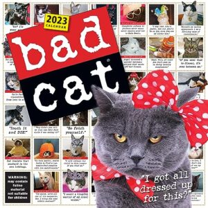 bad cat wall calendar 2023: celebrating the misfits of the feline world