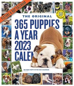 365 puppies-a-year picture-a-day wall calendar 2023: absolutely spilling over with puppies