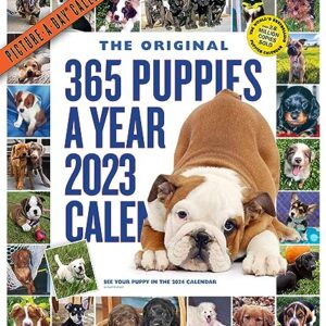 365 Puppies-A-Year Picture-A-Day Wall Calendar 2023: Absolutely Spilling Over With Puppies