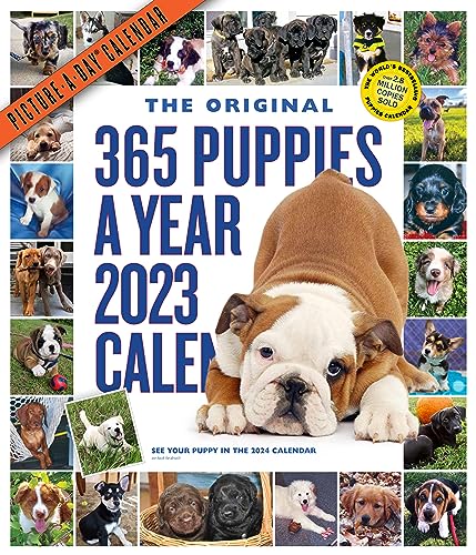 365 Puppies-A-Year Picture-A-Day Wall Calendar 2023: Absolutely Spilling Over With Puppies