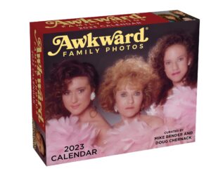 awkward family photos 2023 day-to-day calendar