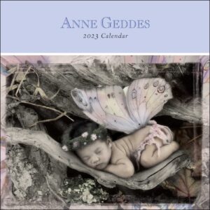 anne geddes 2023 wall calendar