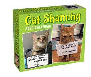 cat shaming 2023 day-to-day calendar