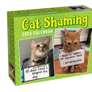 Cat Shaming 2023 Day-to-Day Calendar