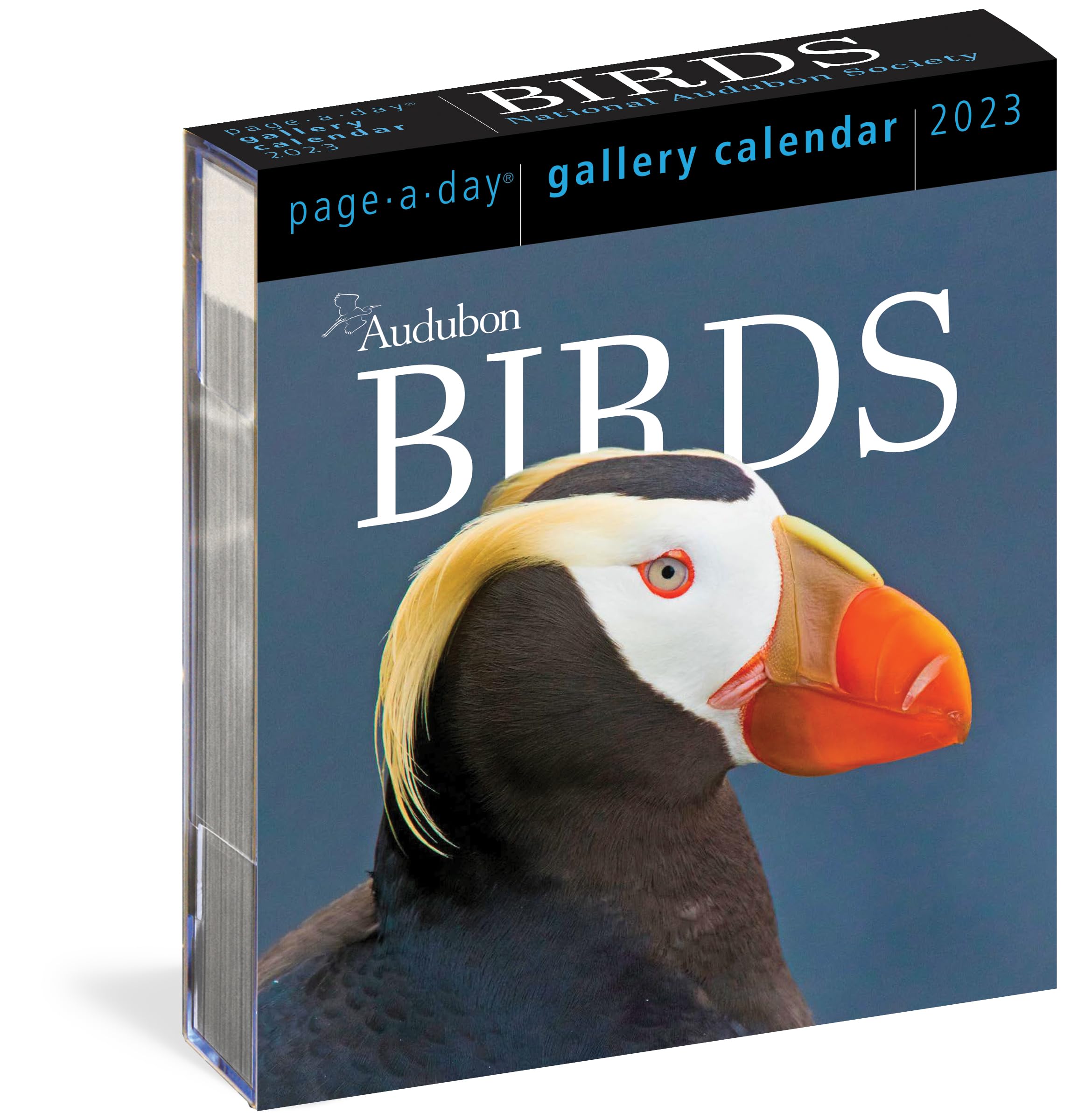 Audubon Birds Page-A-Day Gallery Calendar 2023: Hundreds of Birds, Expertly Captured by Top Nature Photographers