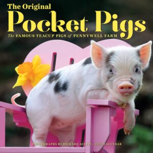 the original pocket pigs wall calendar 2023: the famous teacup pigs of pennywell farm