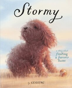 stormy: a story about finding a forever home