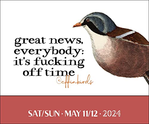 Effin' Birds 2024 Day-to-Day Calendar