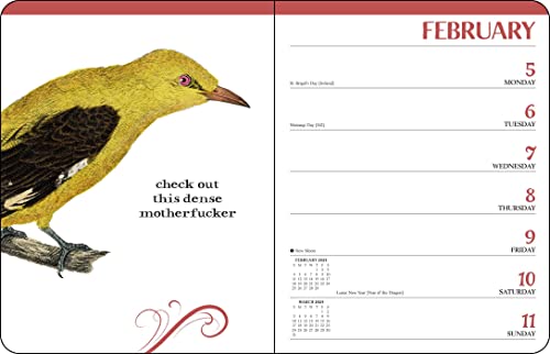 Effin' Birds 12-Month 2024 Monthly/Weekly Planner Calendar