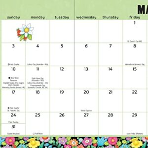 Mary Engelbreit's 12-Month 2024 Monthly Pocket Planner Calendar: You Can Do It