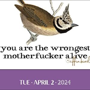 Effin' Birds 2024 Day-to-Day Calendar