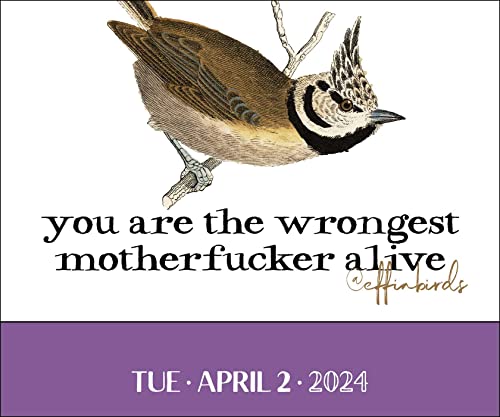 Effin' Birds 2024 Day-to-Day Calendar