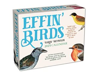 effin' birds 2024 day-to-day calendar