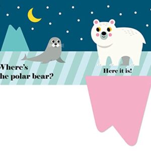 Where's the Polar Bear?