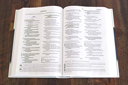 Nueva Versión Internacional Biblia del Pescador, letra grande, verde tapa dura | NVI Fisher of Men Bible, Large Print, Green, Hardcover (Spanish Edition)