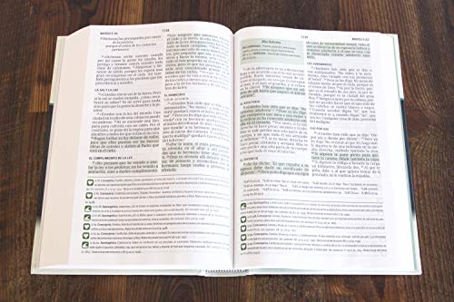 Nueva Versión Internacional Biblia del Pescador, letra grande, verde tapa dura | NVI Fisher of Men Bible, Large Print, Green, Hardcover (Spanish Edition)