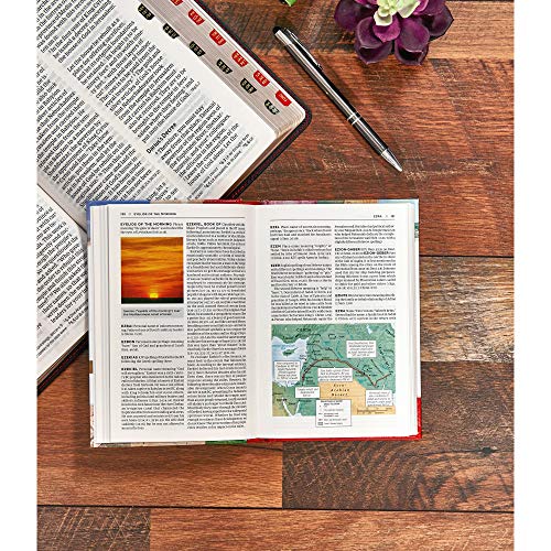 Ultimate Bible Dictionary: A Quick and Concise Guide to the People, Places, Objects, and Events in the Bible (Ultimate Guide)