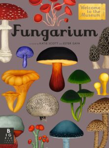 fungarium: welcome to the museum