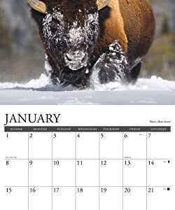 Rocky Mountain Wildlife 2023 Wall Calendar