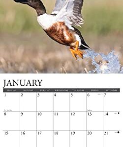 Waterfowl 2023 Wall Calendar