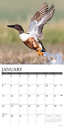 Waterfowl 2023 Wall Calendar