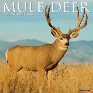 mule deer 2023 wall calendar