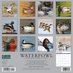 Waterfowl 2023 Wall Calendar