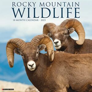 rocky mountain wildlife 2023 wall calendar