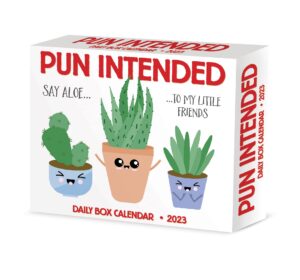 pun intended 2023 box calendar